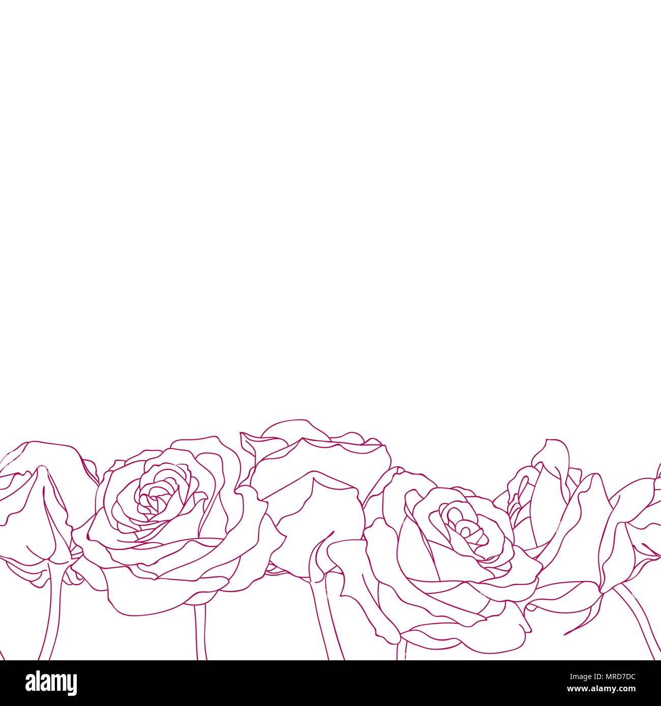 Seamless bottom border made of rose flowers Stock Vector Image & Art ...