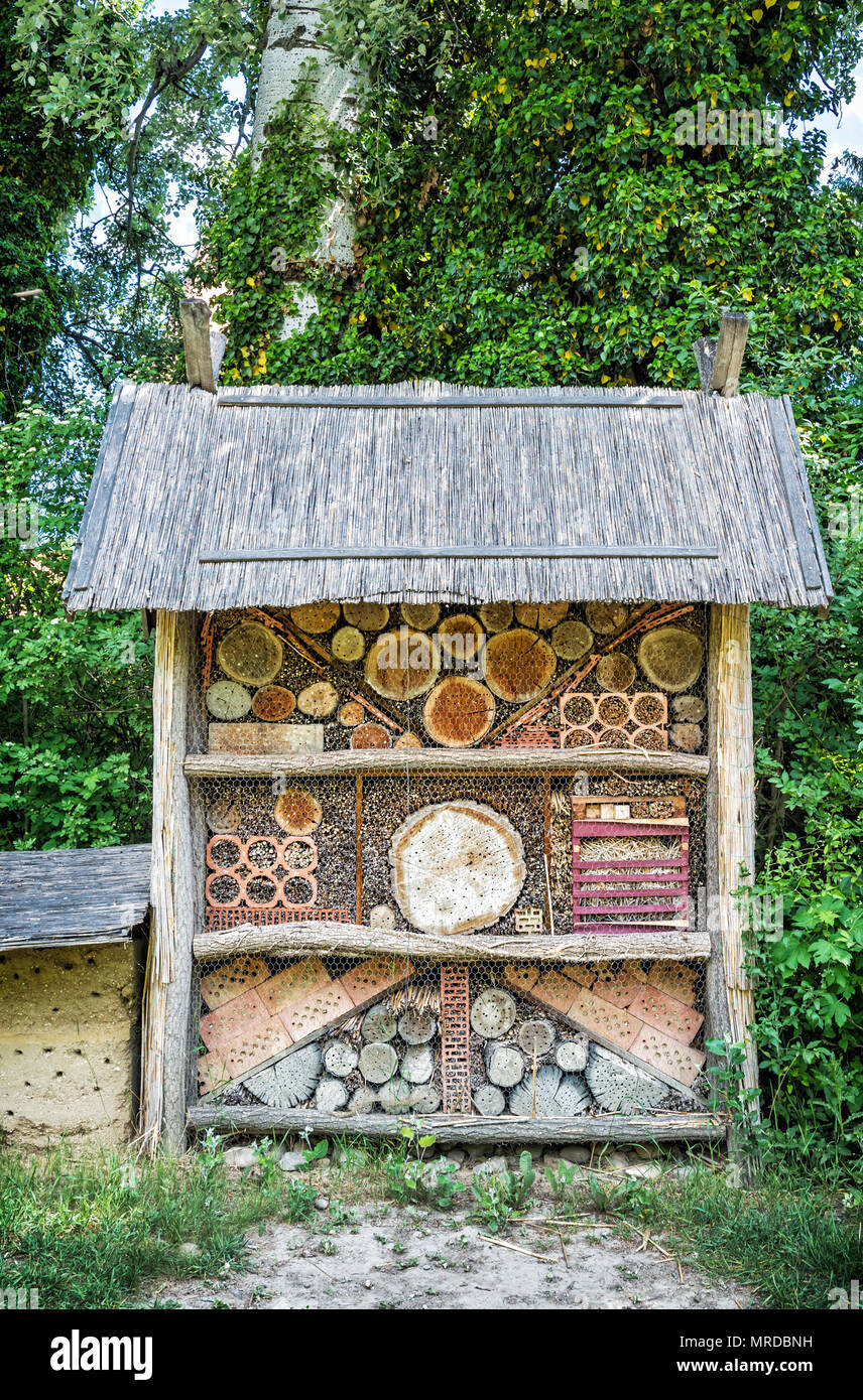 Insect hotel in park. Natural scene Stock Photo - Alamy