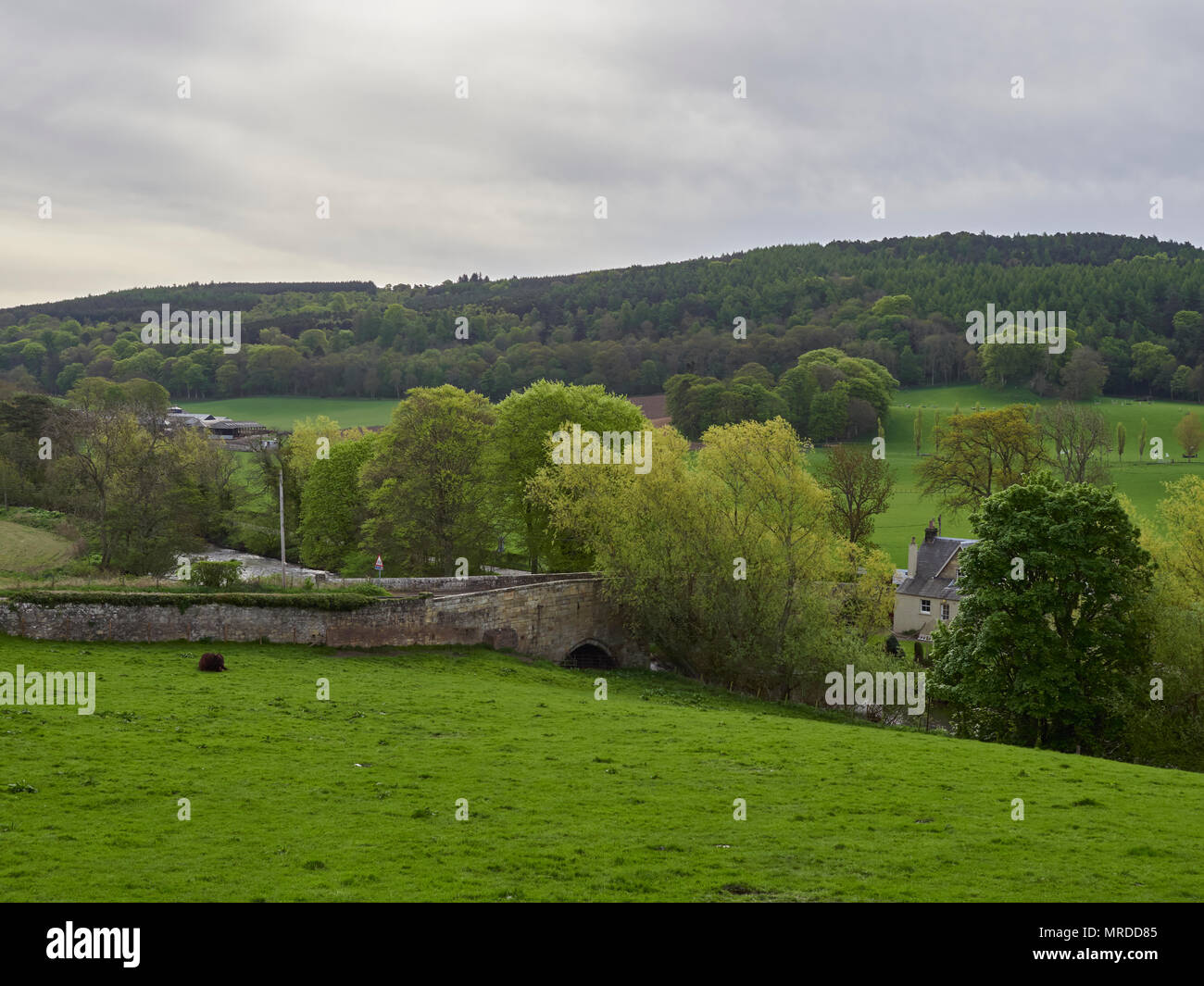 The Dairsie Bridge that links the Parishes of Dairsie and Kemback in ...