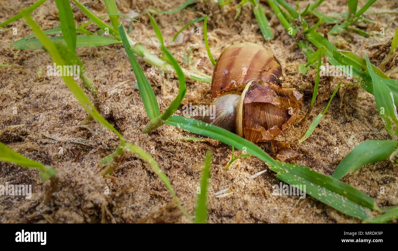 Dead body spiral hi-res stock photography and images - Alamy