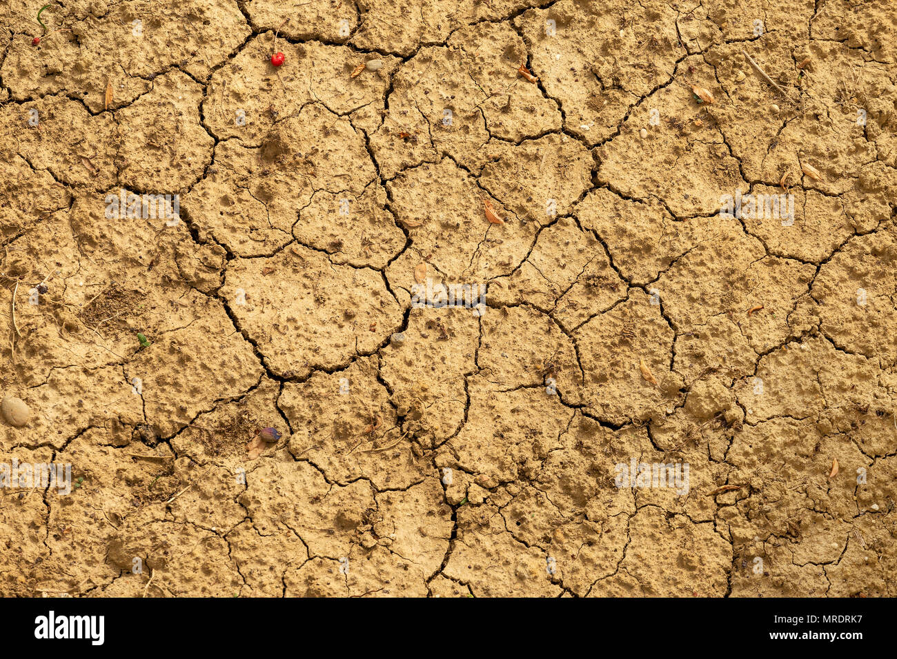 Cracked Soil Texture High Resolution Stock Photography and Images - Alamy