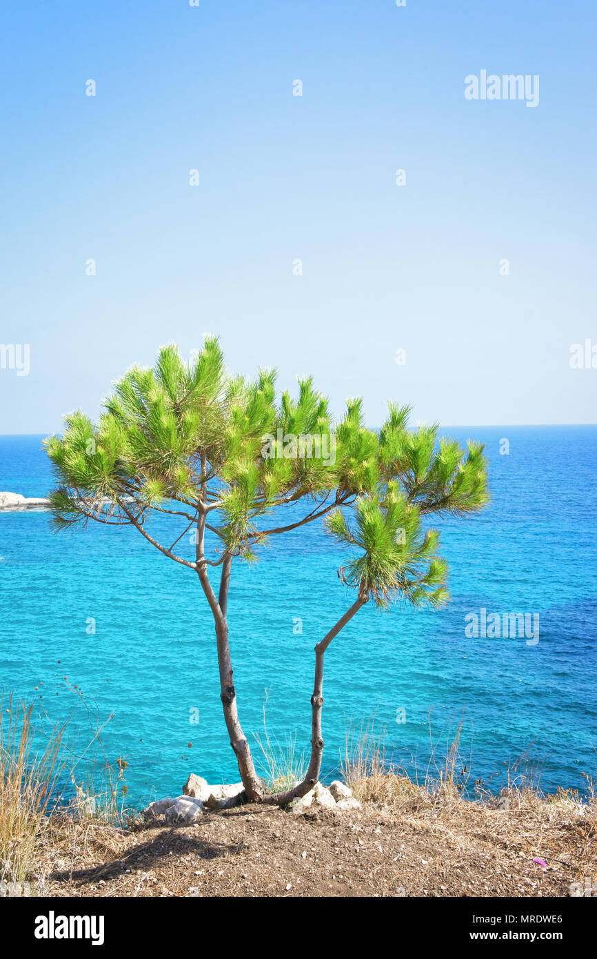 Beautiful colors of Mediterranean sea Stock Photo - Alamy