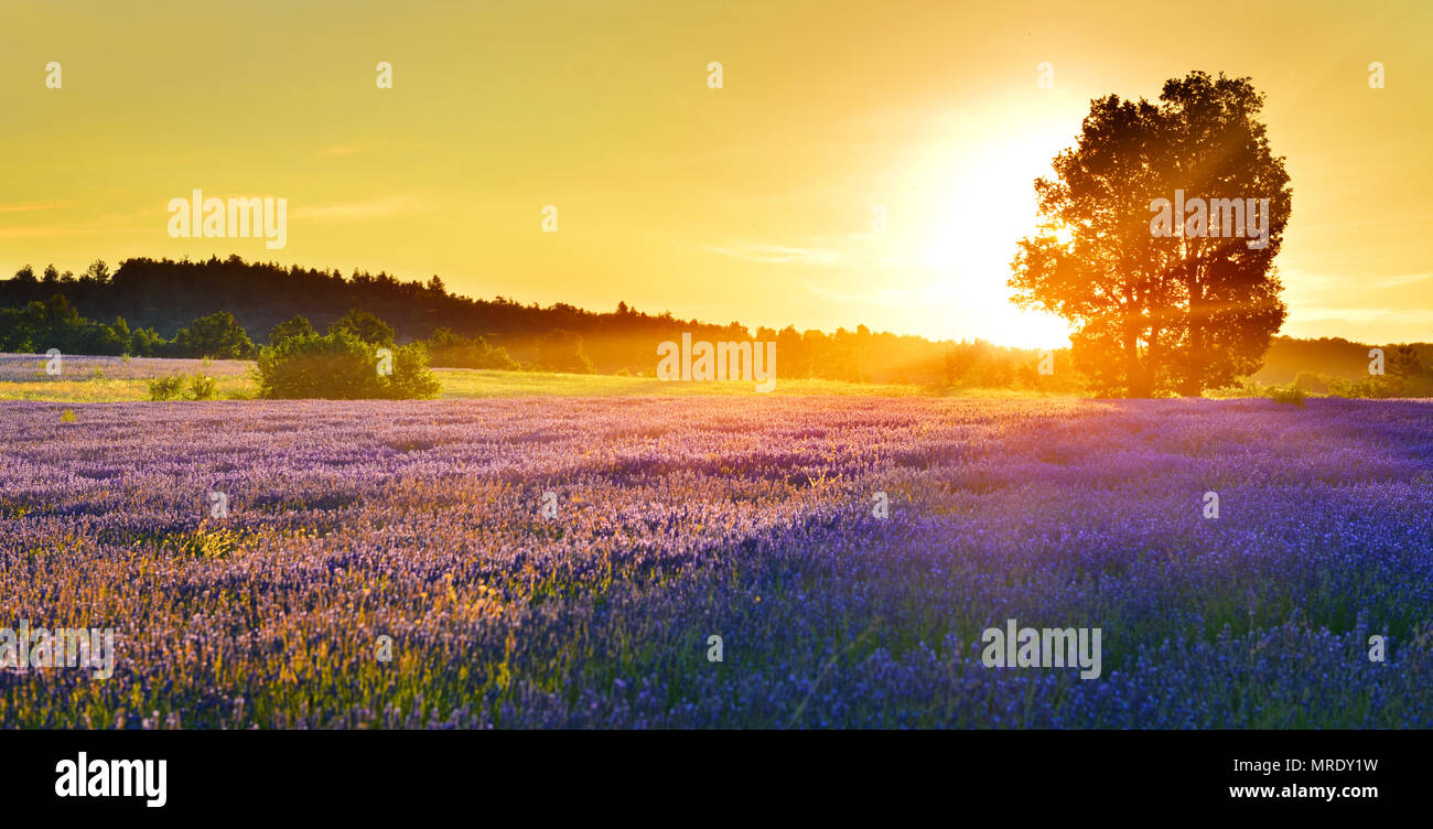 Sunrise provence High Resolution Stock Photography and Images - Alamy