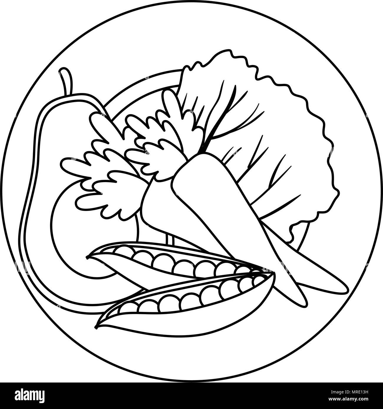 Vegetable Salad Drawing