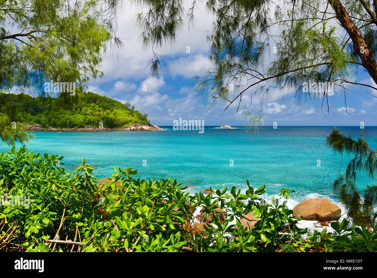 Tropical beach. The Seychelles Stock Photo - Alamy