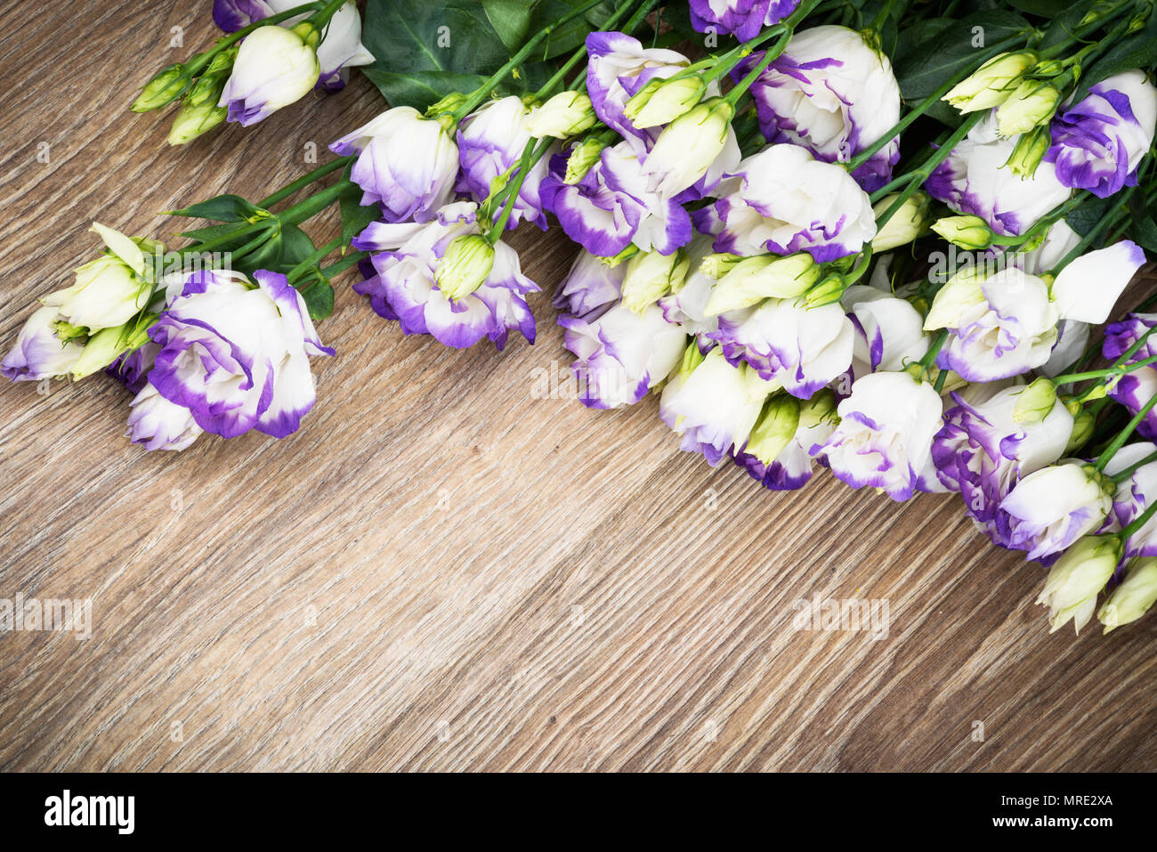 Photo of eustoma flowers hi-res stock photography and images - Alamy