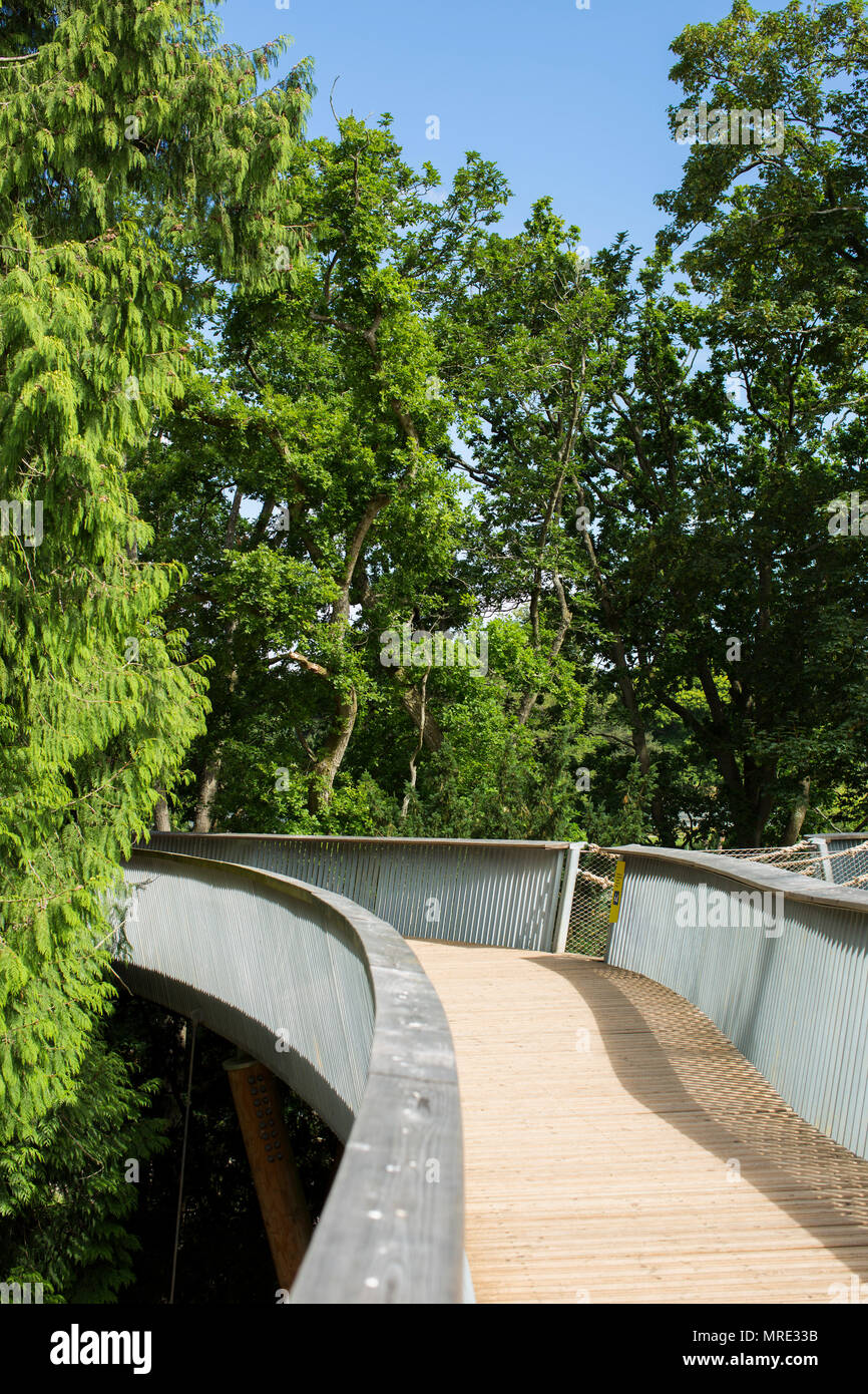 The STIHL Treetop Walkway in Westonbirt Arboretum Stock Photo - Alamy