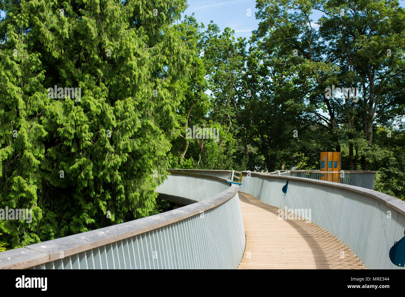 The STIHL Treetop Walkway in Westonbirt Arboretum Stock Photo - Alamy