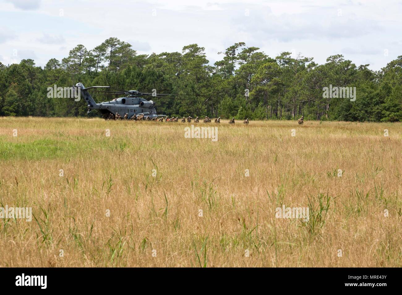 U.S. Marines with Alpha Company, 2d Combat Engineer Battalion,(2D CEB ...
