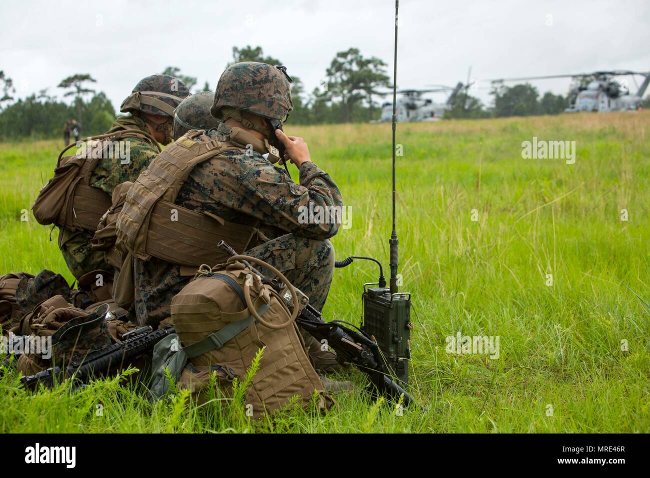U.S. Marine with Alpha Company, 2d Combat Engineer Battalion,(2D CEB ...