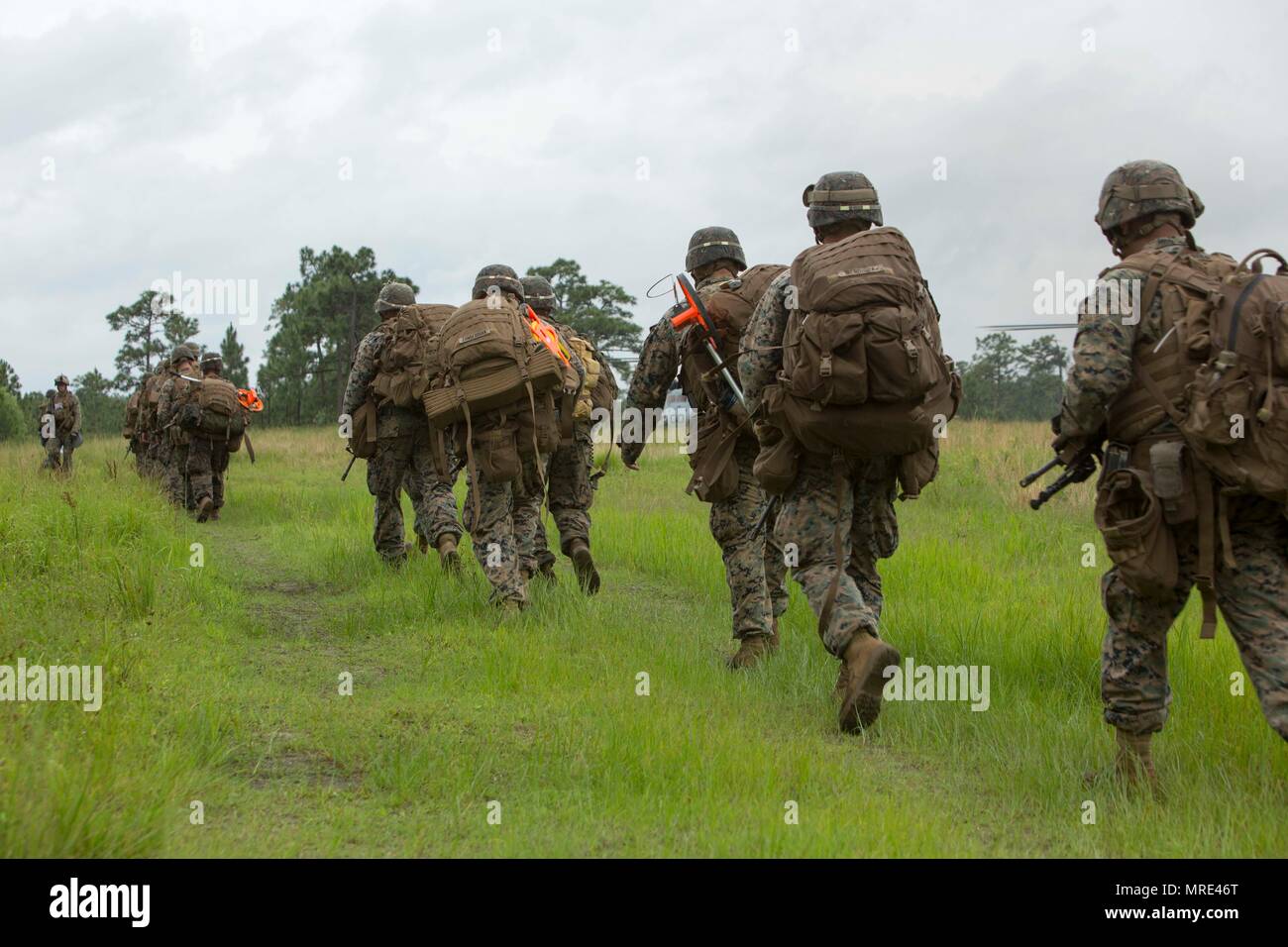 U.S. Marines with Alpha Company, 2d Combat Engineer Battalion,(2D CEB ...