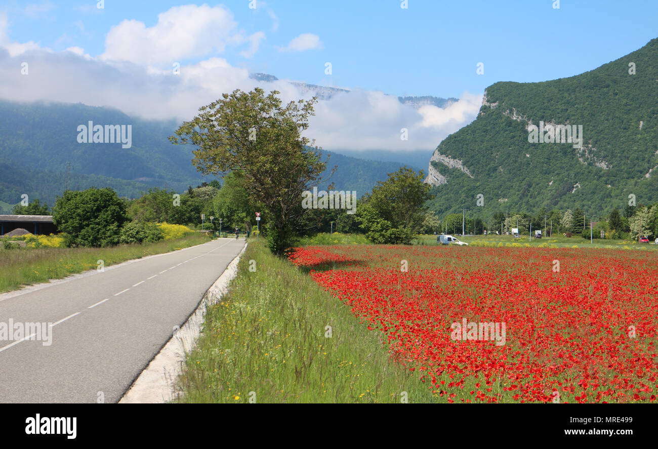 Bicycle path between Ugine and Annecy Stock Photo - Alamy