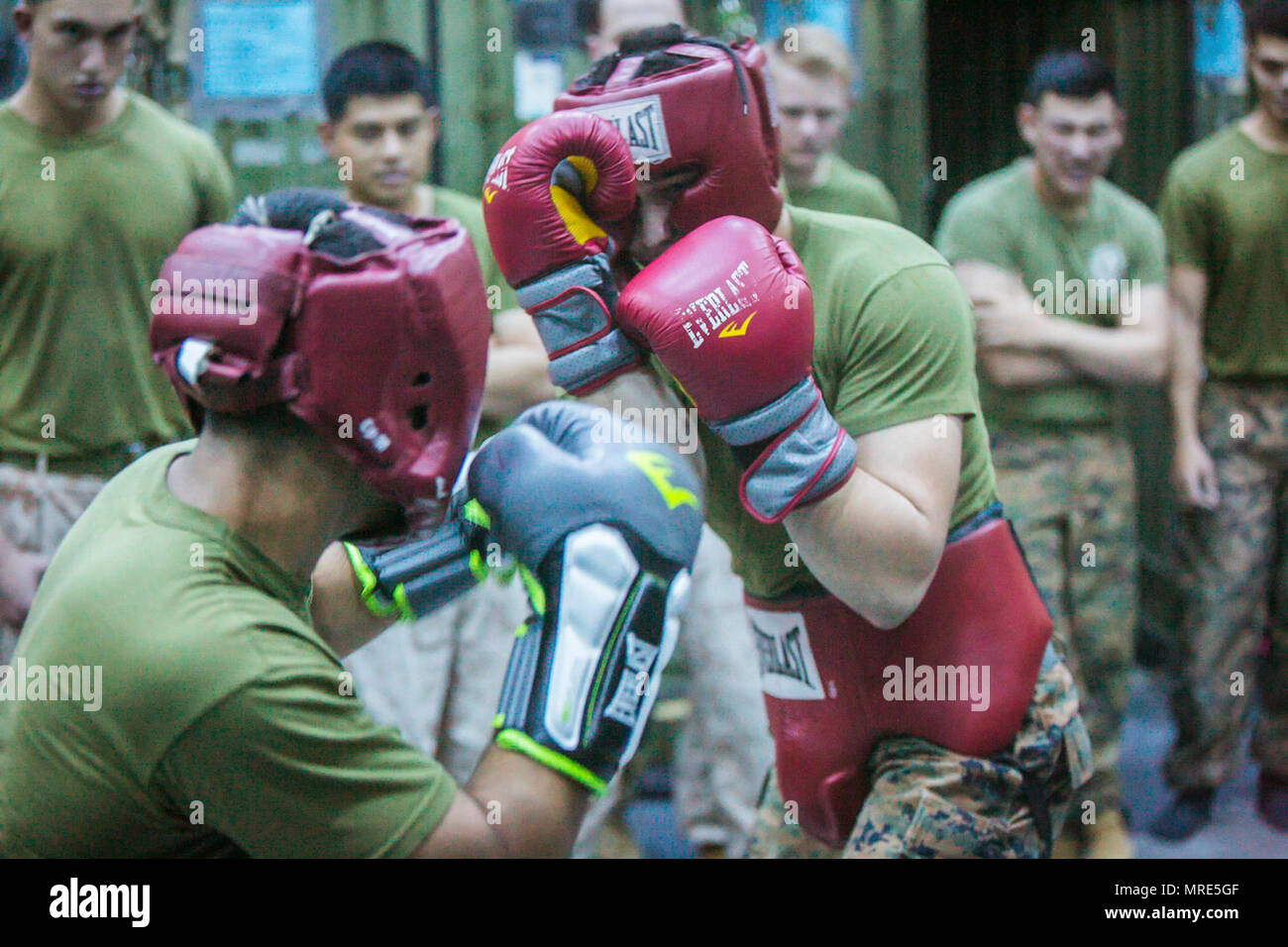 All marine boxing team hi-res stock photography and images - Alamy