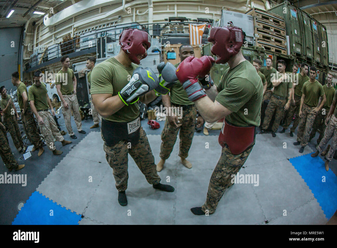 All marine boxing team hi-res stock photography and images - Alamy