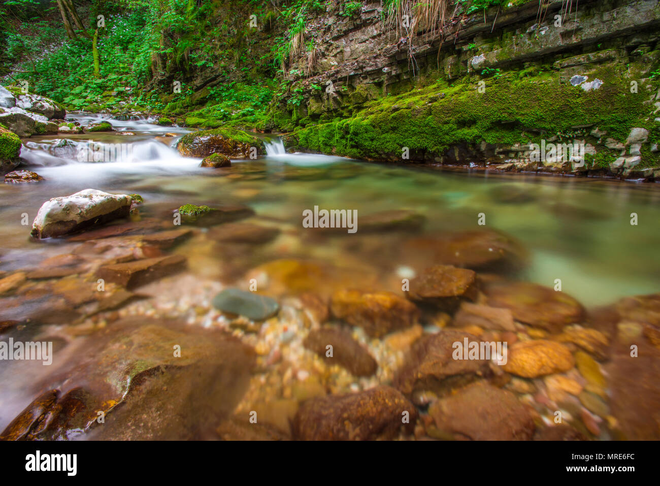 Peaceful, hidden stream flows through a mossy canyon, layers of rocks ...