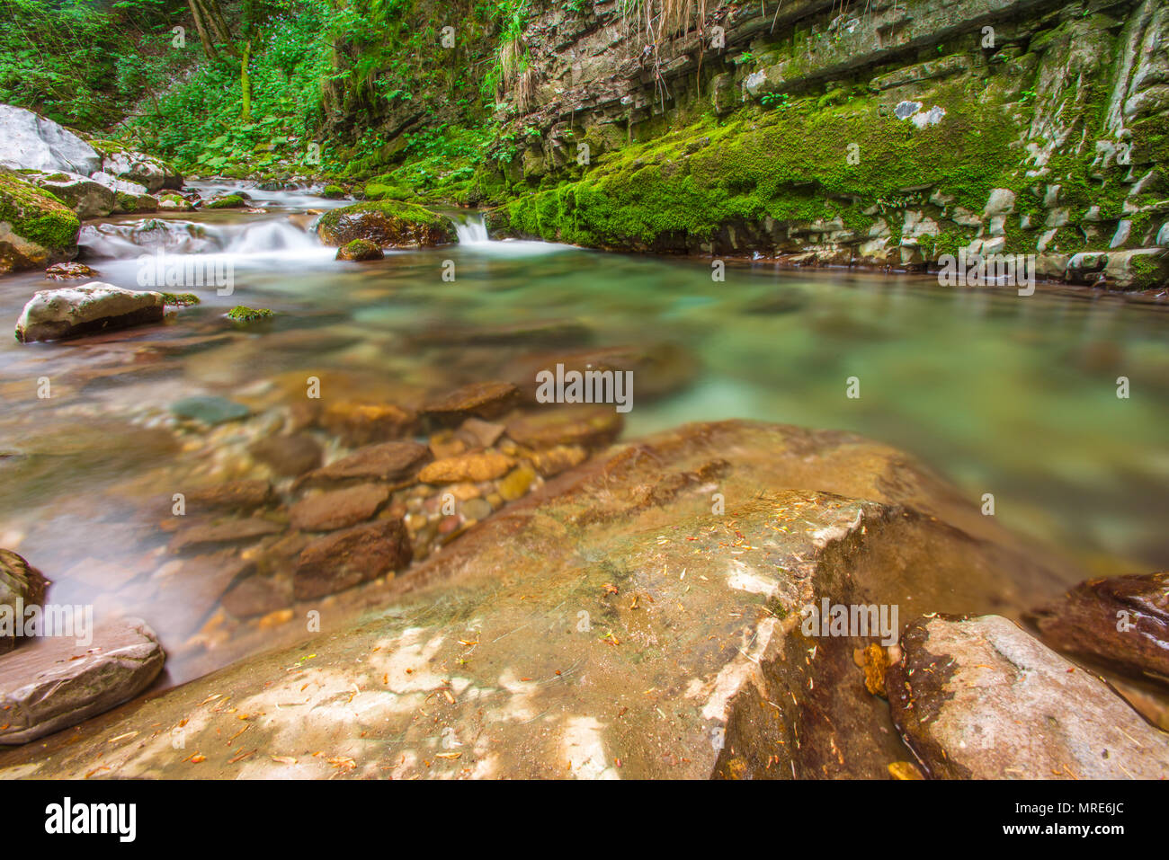 Peaceful, hidden stream flows through a mossy canyon, layers of rocks ...
