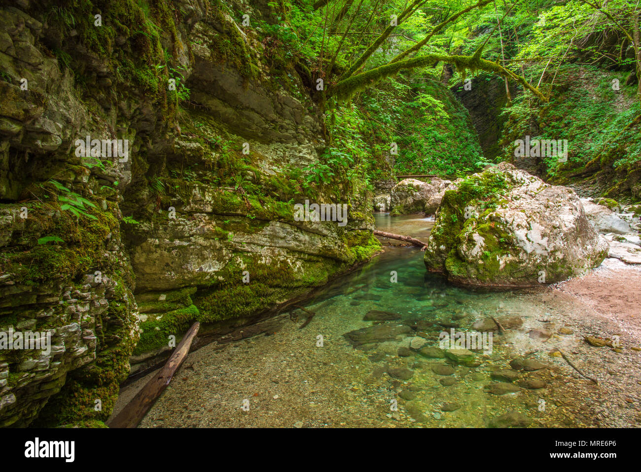 Deep gorge hi-res stock photography and images - Alamy