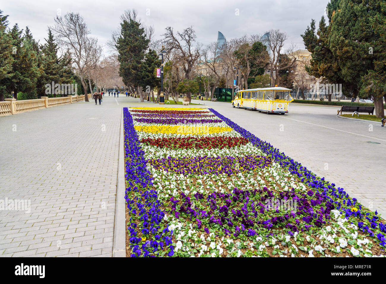 Baku, Azerbaijan - March 10, 2018: Beautifull flower bed in Baku ...
