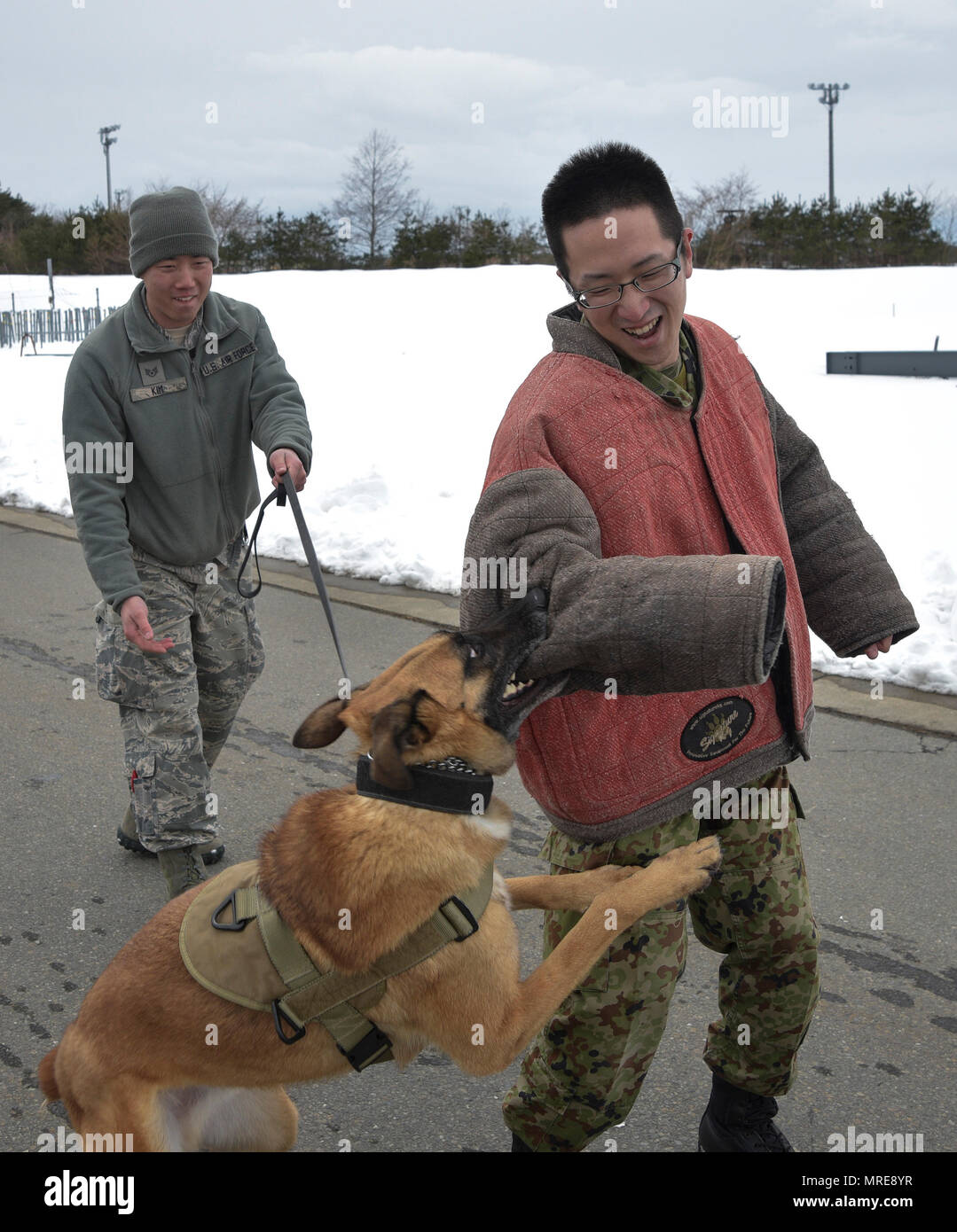 Drake, a military working dog with the 35th Security Forces Squadron ...
