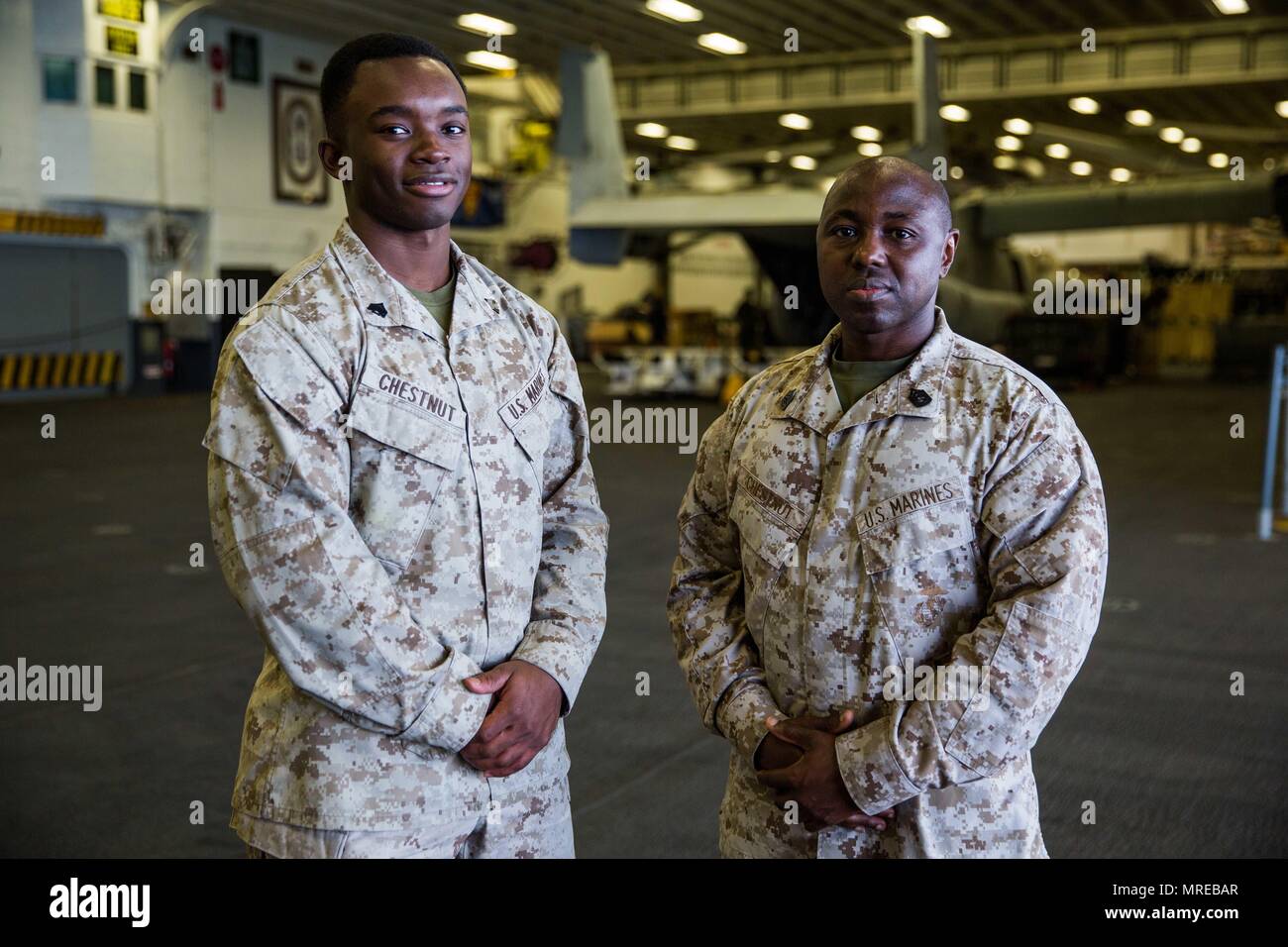 Marcus chestnut hi-res stock photography and images - Alamy