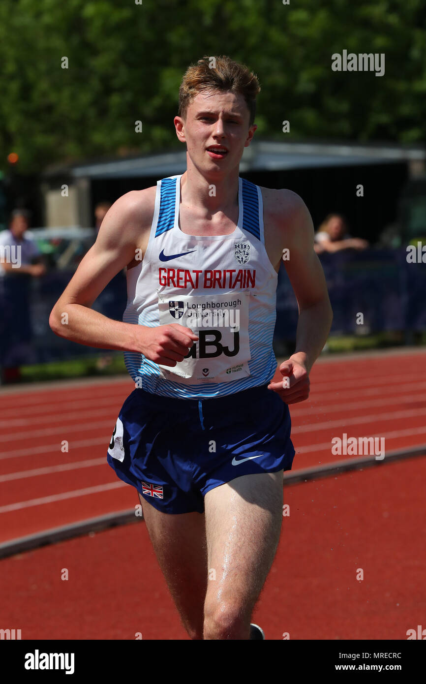 Yabsley hi-res stock photography and images - Alamy