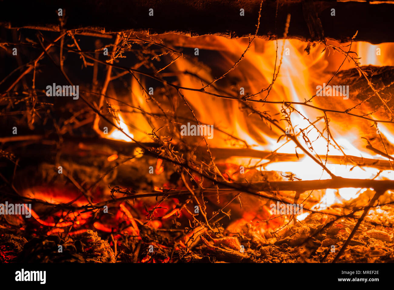 Burn Twigs High Resolution Stock Photography and Images - Alamy