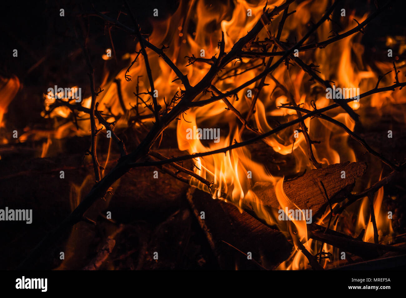 Close up of a fire with twigs Stock Photo - Alamy