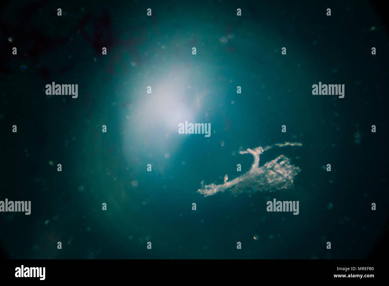 Abstract colorful background - Looks like the depths of the ocean Stock ...