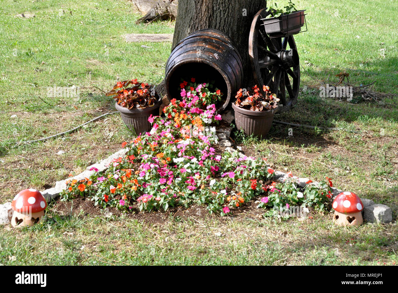 Variety of flowers in barrel and surrounding area Stock Photo - Alamy