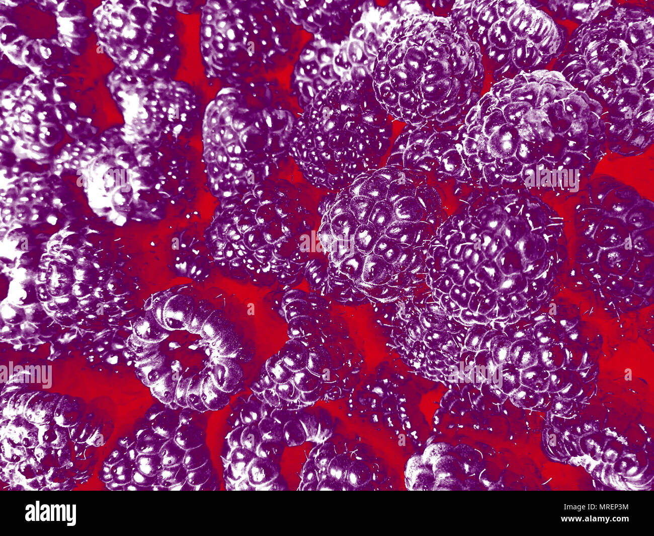 Purple raspberries in a full frame Stock Photo - Alamy