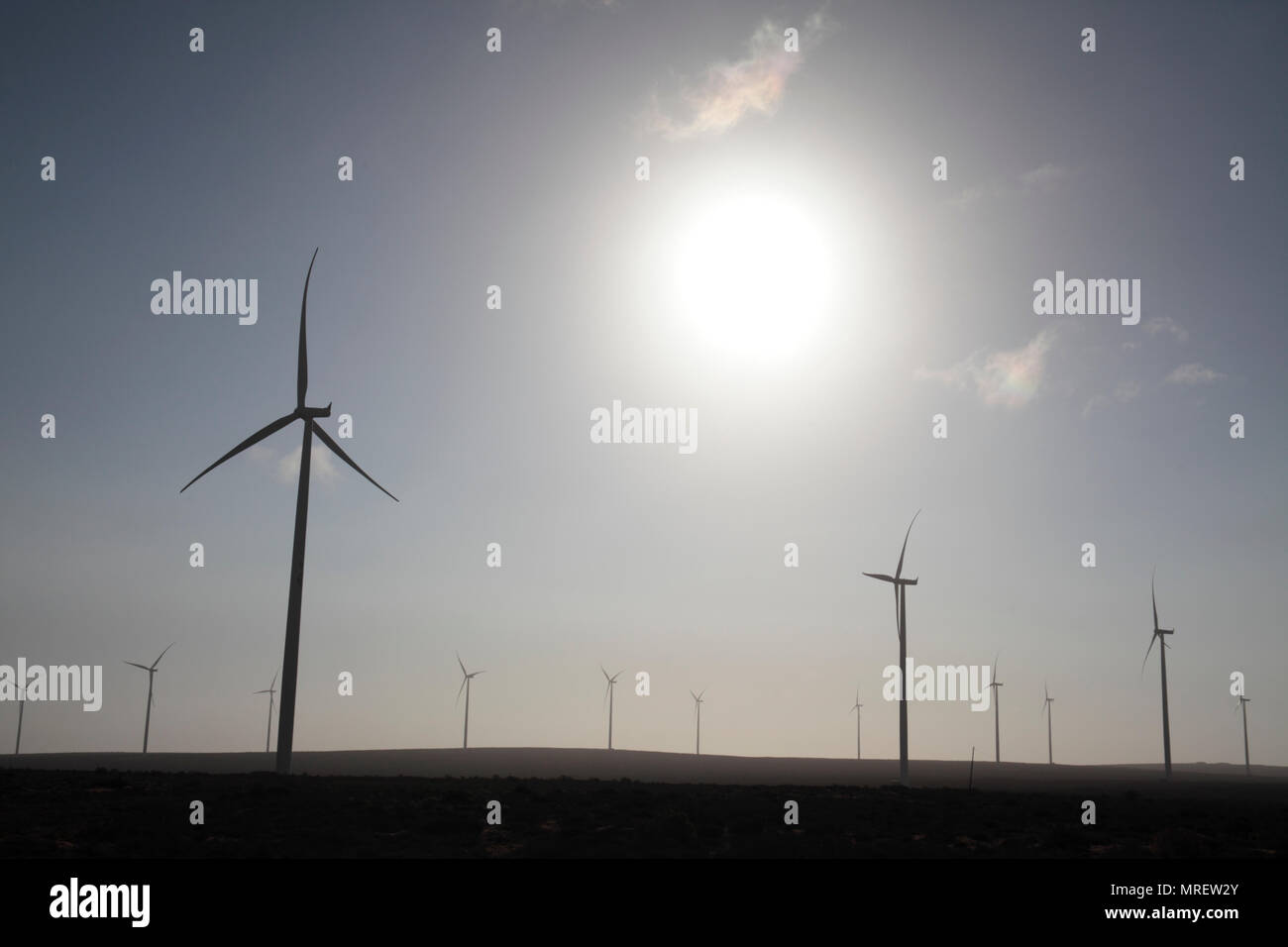 100 MW Sere windfarm in South Africa, owned by Eskom. Near Vredendal ...