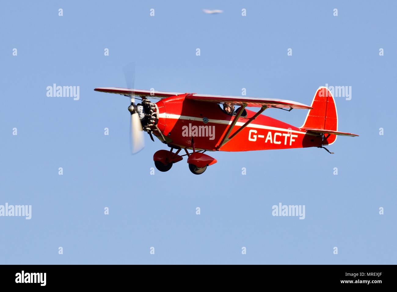 Comper swift hi-res stock photography and images - Alamy
