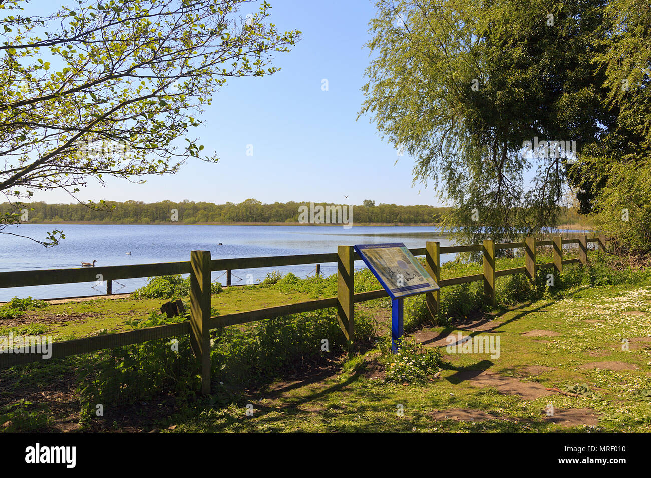 The trinity broads hi-res stock photography and images - Alamy