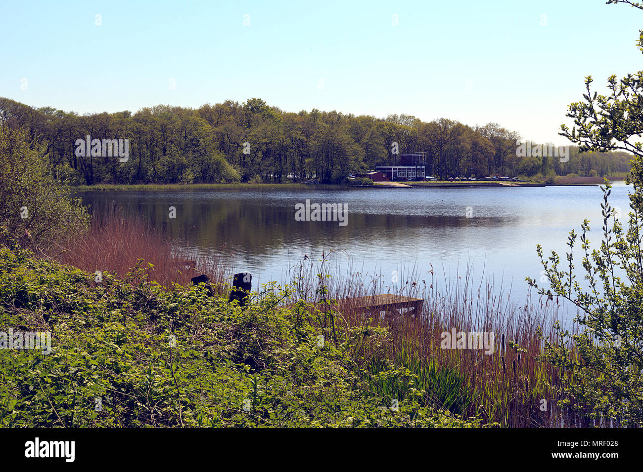 View of Rollesby Broad on Trinity Broads on the Norfolk Broads, UK ...