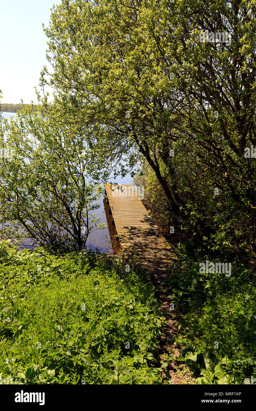 Wooden Fishing pontoon on Rollesby Broad on the Norfolk Broads, UK ...