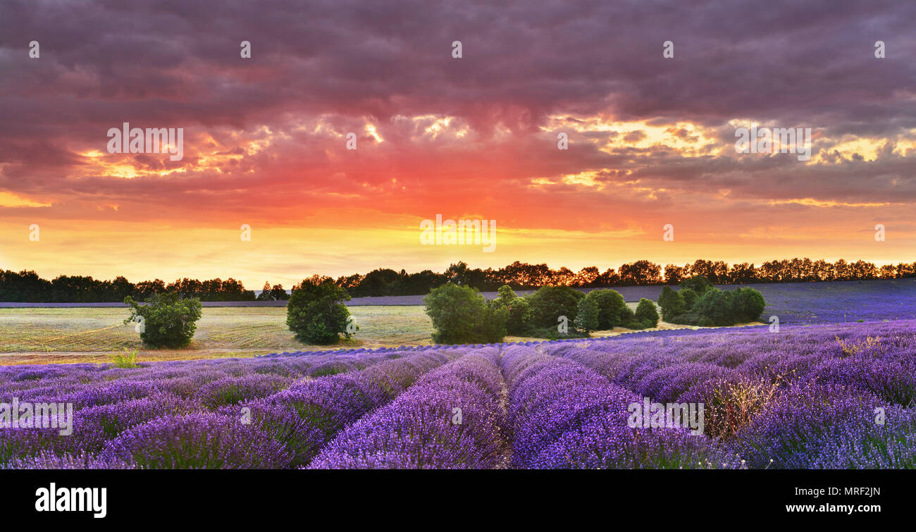 Twilight field hi-res stock photography and images - Alamy