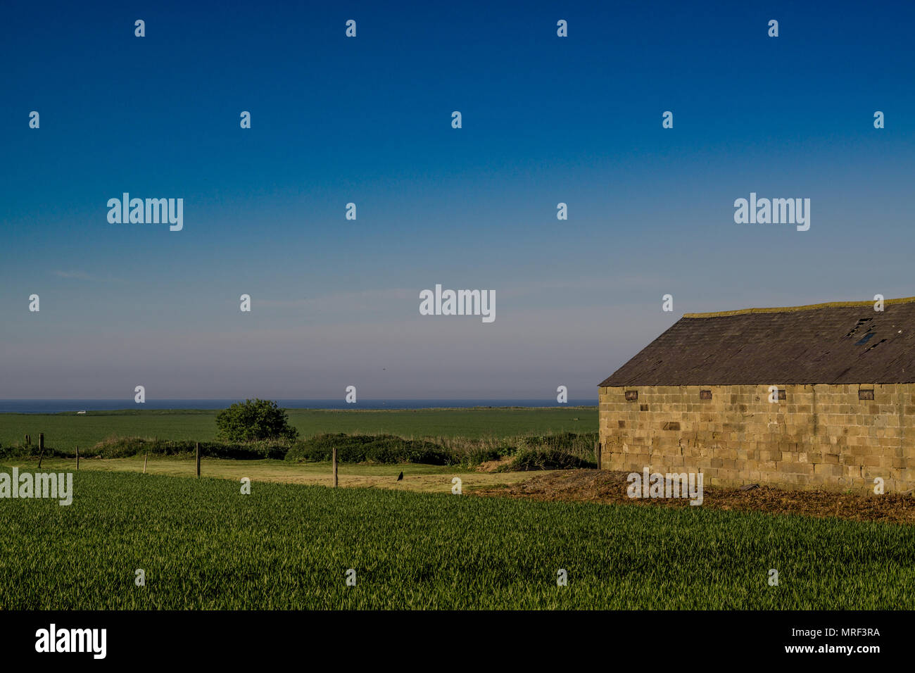 Farmers field in Marske. North east coast can be seen in the distance ...