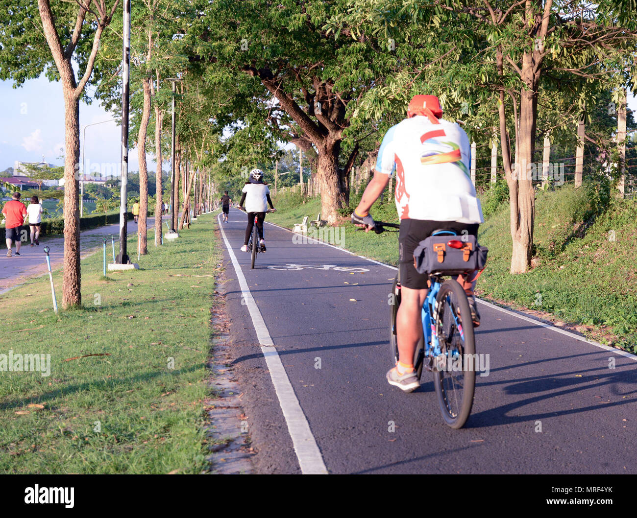 Bicycle lane in the park, cycling, Park cycle bike Stock Photo - Alamy