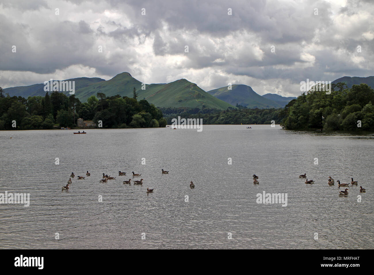 Derwent water swimming hi-res stock photography and images - Alamy