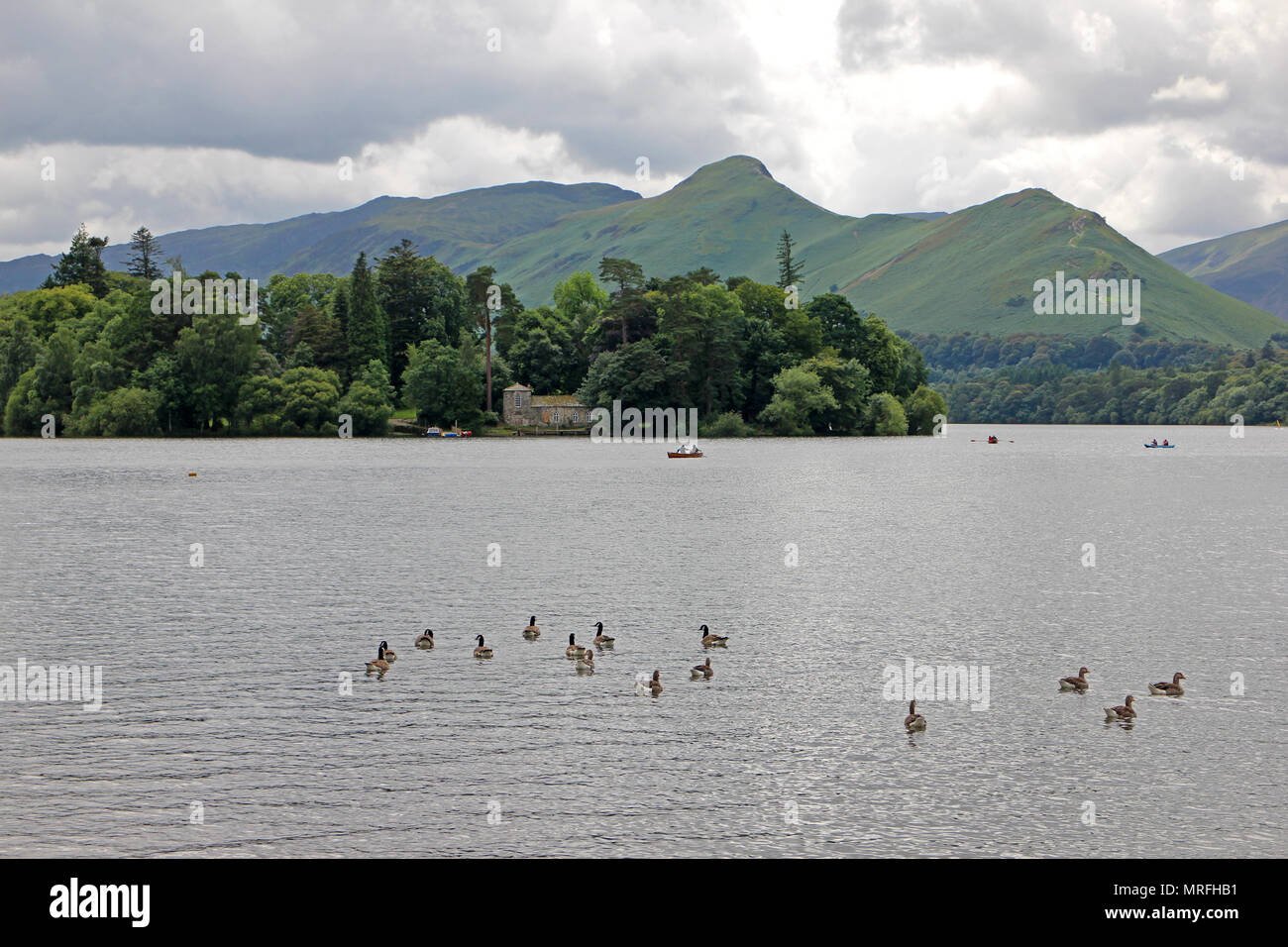 Derwent water swimming hi-res stock photography and images - Alamy