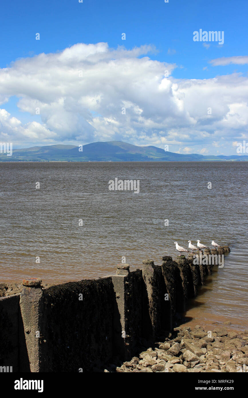 Silloth Beach Groynes and Solway Firth Stock Photo - Alamy