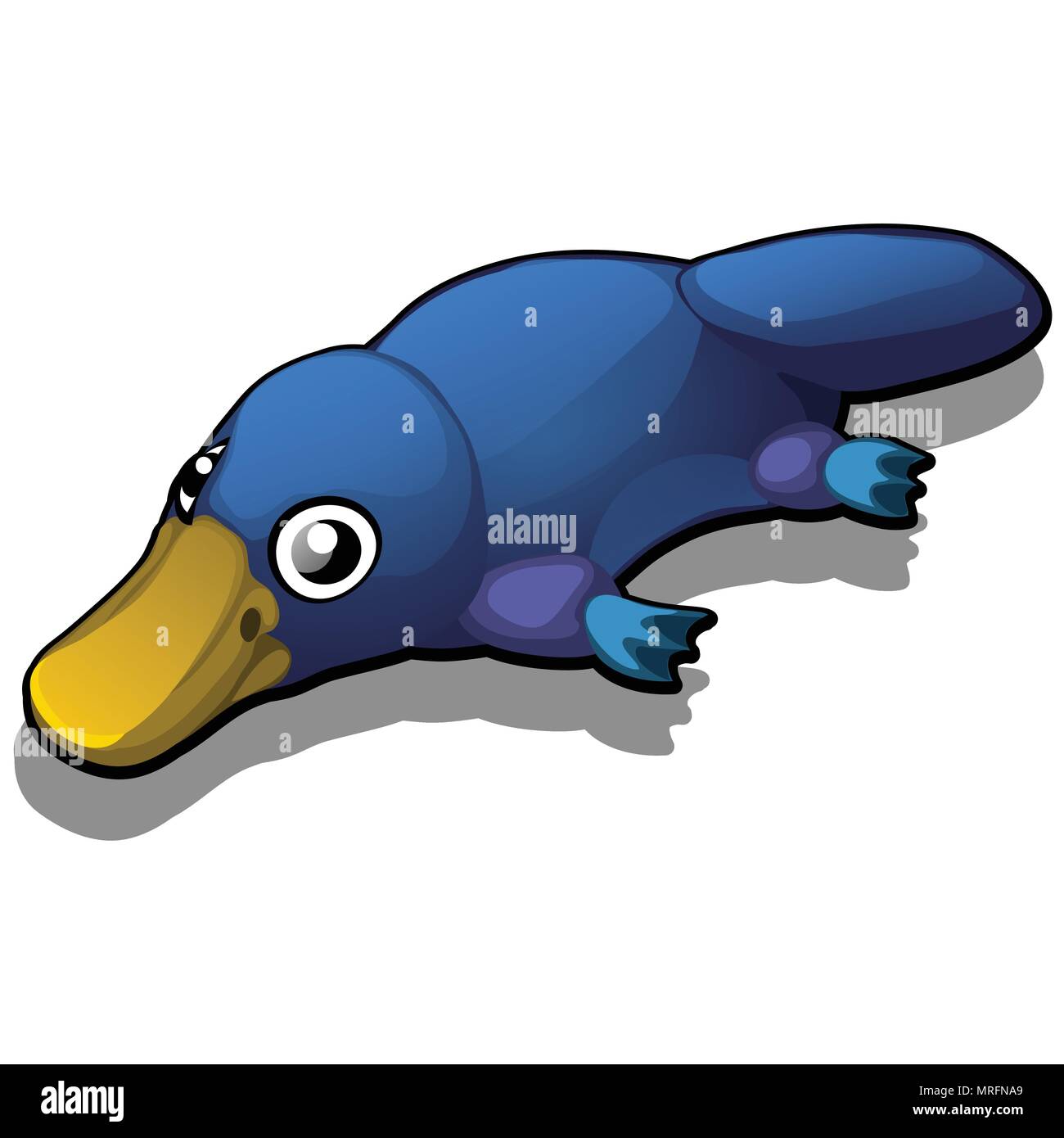 Australian duck species Stock Vector Images - Alamy