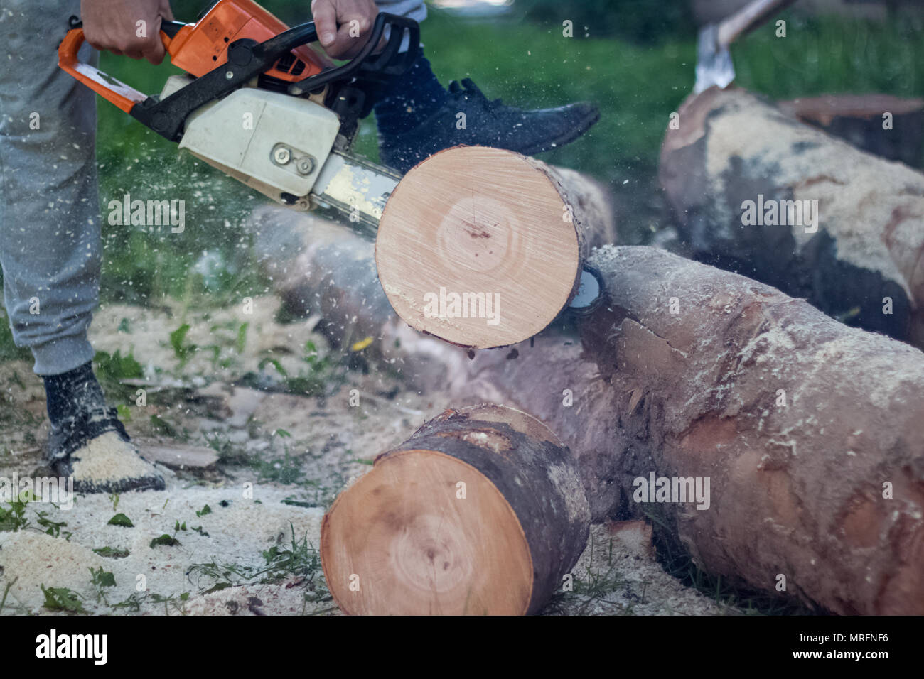 Woodman cuts boulder with a chainsaw, firewood, felling of trees ...