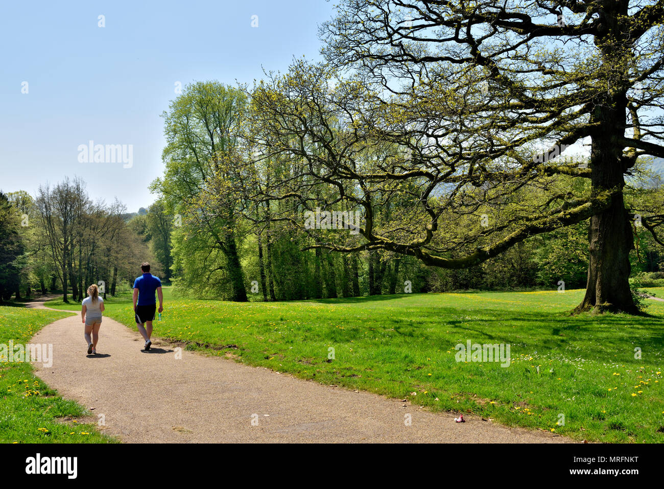 Pontypool hi-res stock photography and images - Alamy