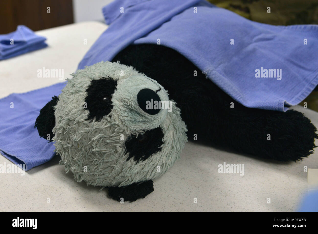 Teddy repair hi-res stock photography and images - Alamy
