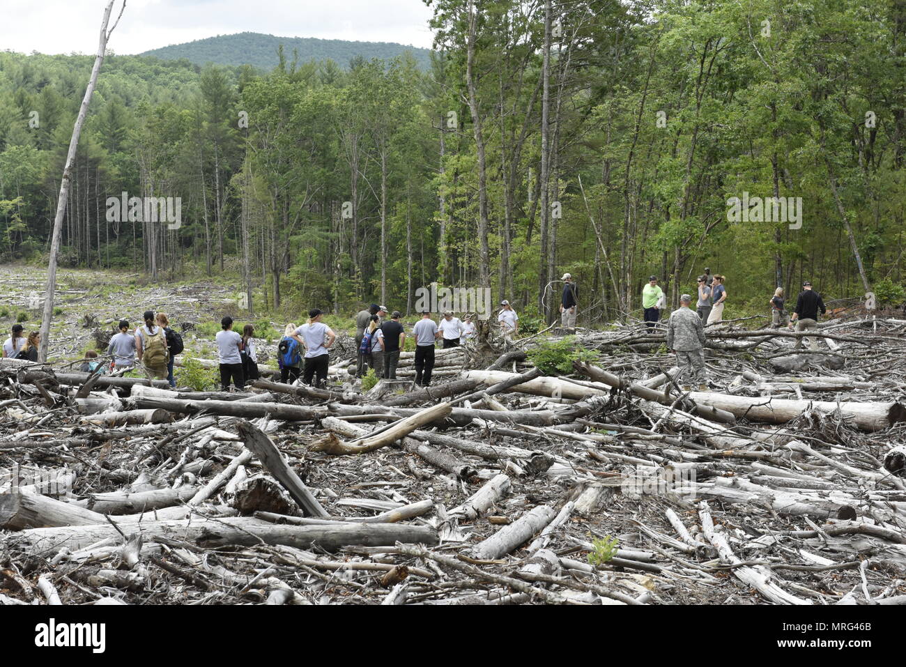 Cadaver body farm hi-res stock photography and images - Alamy