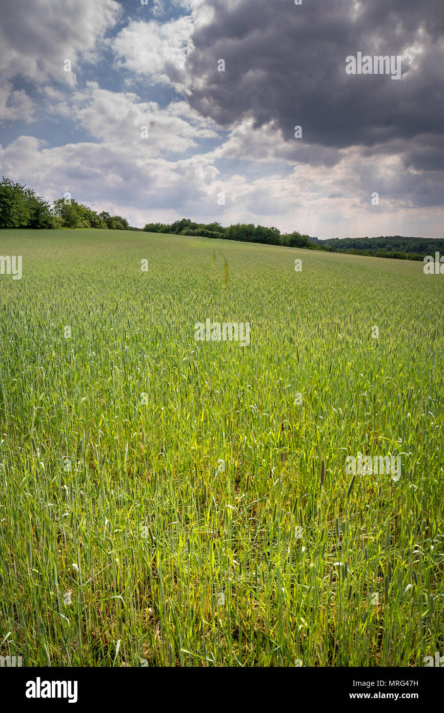 Explore germany hi-res stock photography and images - Alamy