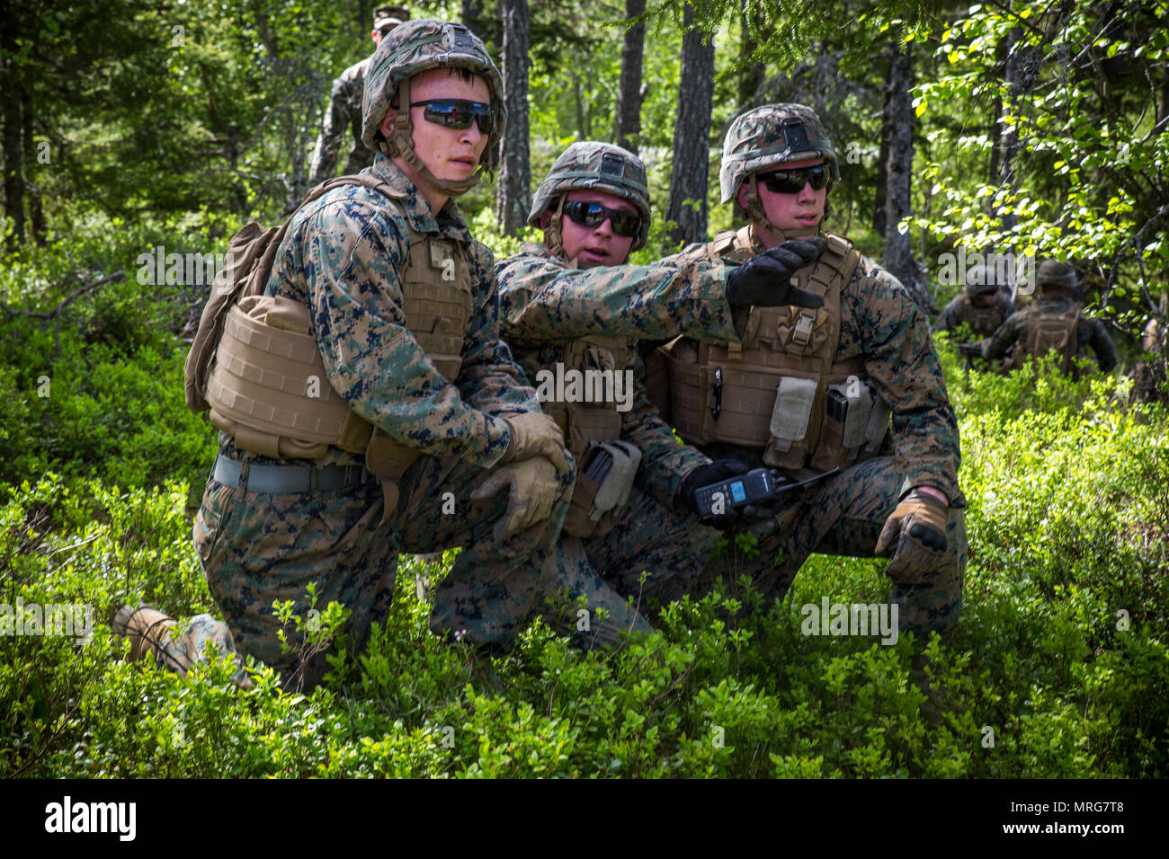 M4a2 service rifle hi-res stock photography and images - Alamy