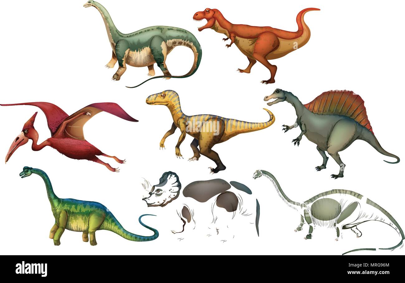 A Set of Diffrent Dinosaurs illustration Stock Vector Image & Art - Alamy