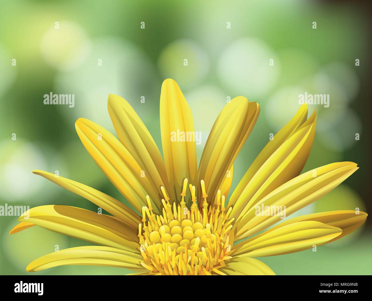 A Beautiful Yellow Daisy on Nature Background illustration Stock Vector ...